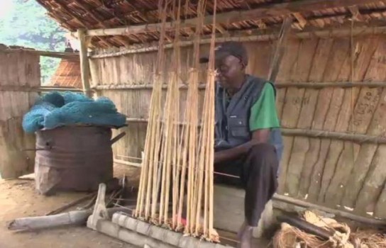 Congo: le raphia, une richesse traditionnelle qui se perd - Africa Top ...