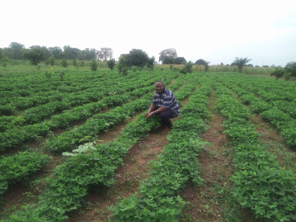 Green Agri Nova : un modèle de réussite de l'entrepreneuriat agricole