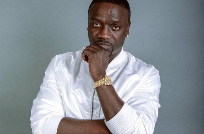 Akon : les raisons d'une double arrestation en Géorgie - Africa Top Success